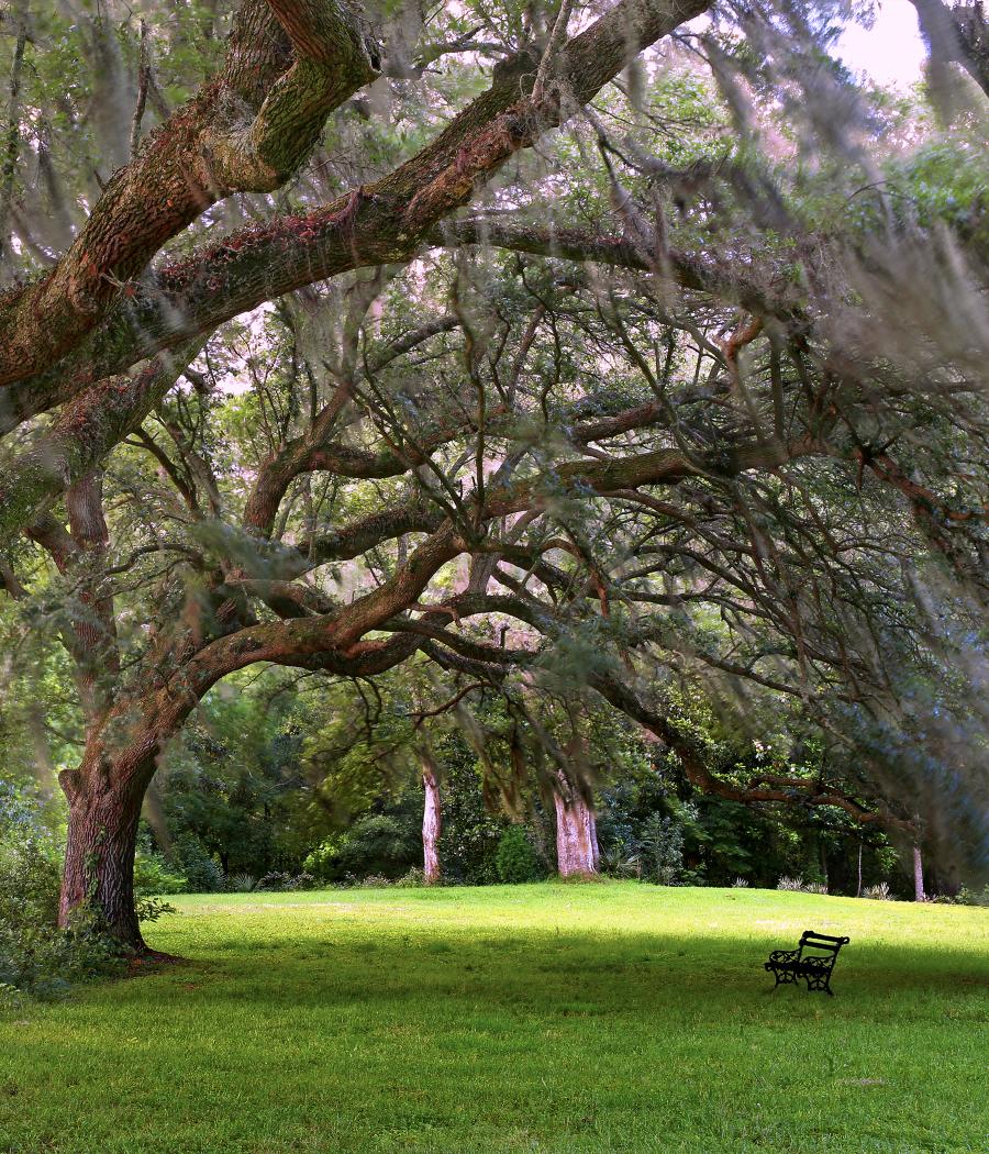 Mepkin Abbey Monastery App